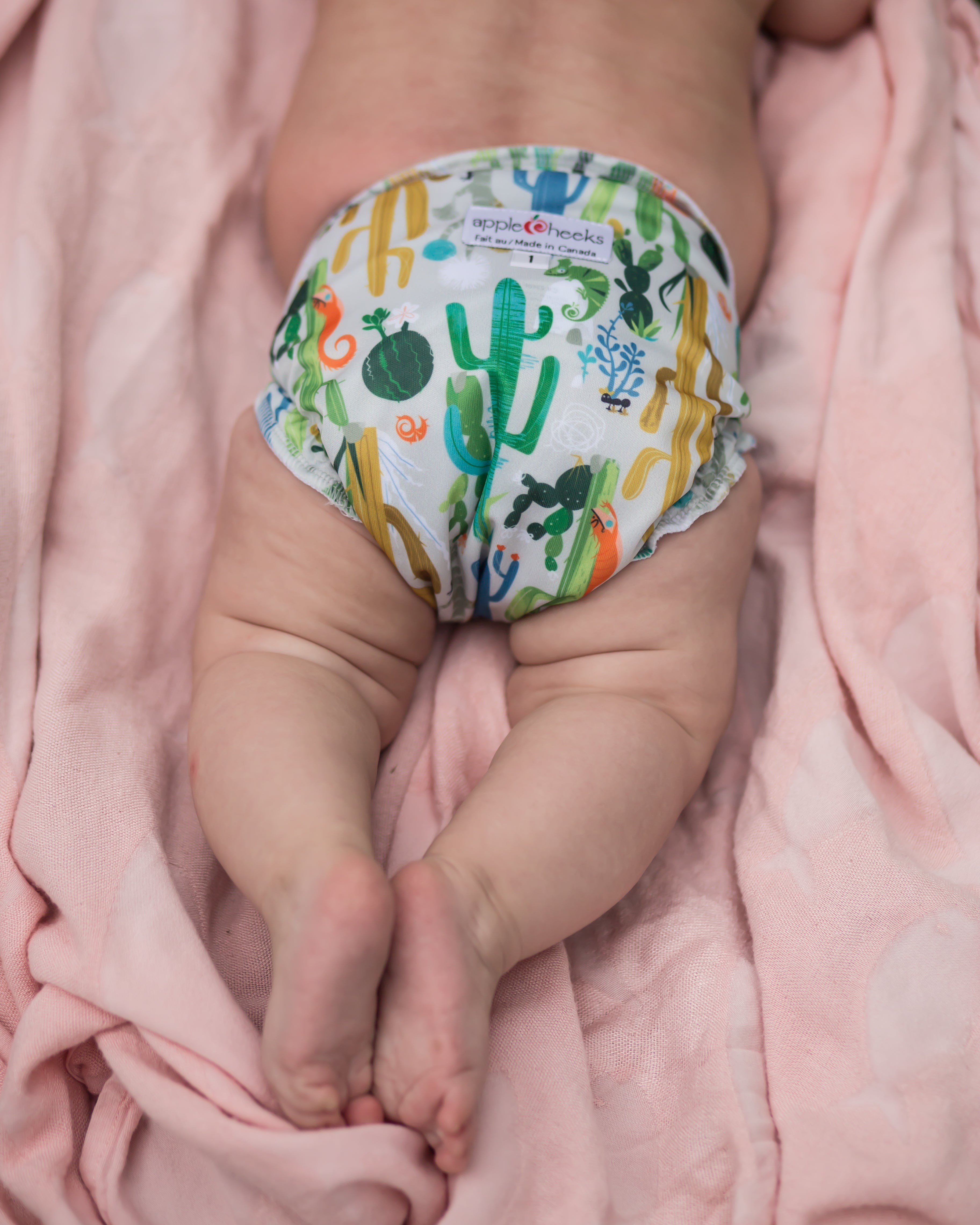 AppleCheeks: Washable Swim Diapers (One Size) – Clothe In Love